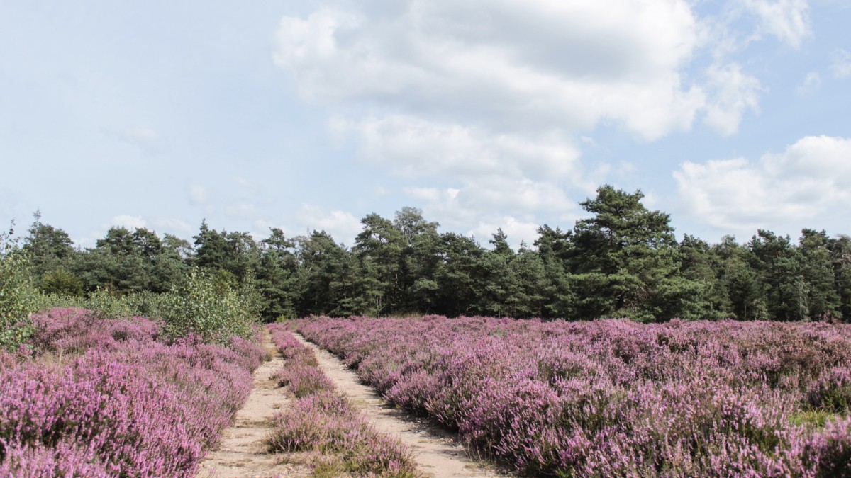 Passende beoordeling bij meldingsplichtige activiteiten? - vmx.be